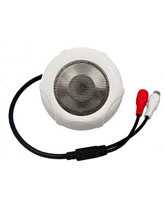 Security Camera Microphones
