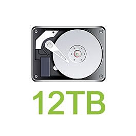 12TB DVR Hard Drive