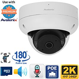 Super Wide Angle 180 Degree PoE Dome Camera, Mic, Night Vision