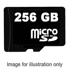 256GB microSD Card