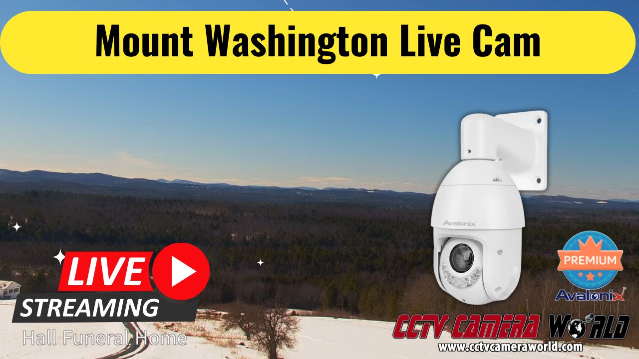 Live Stream Cameras